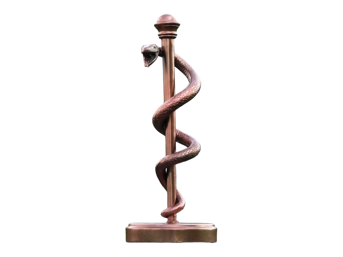 Esculaap-slang in brons look, prachtig beeld - Houseandgarden.shop - dé ...