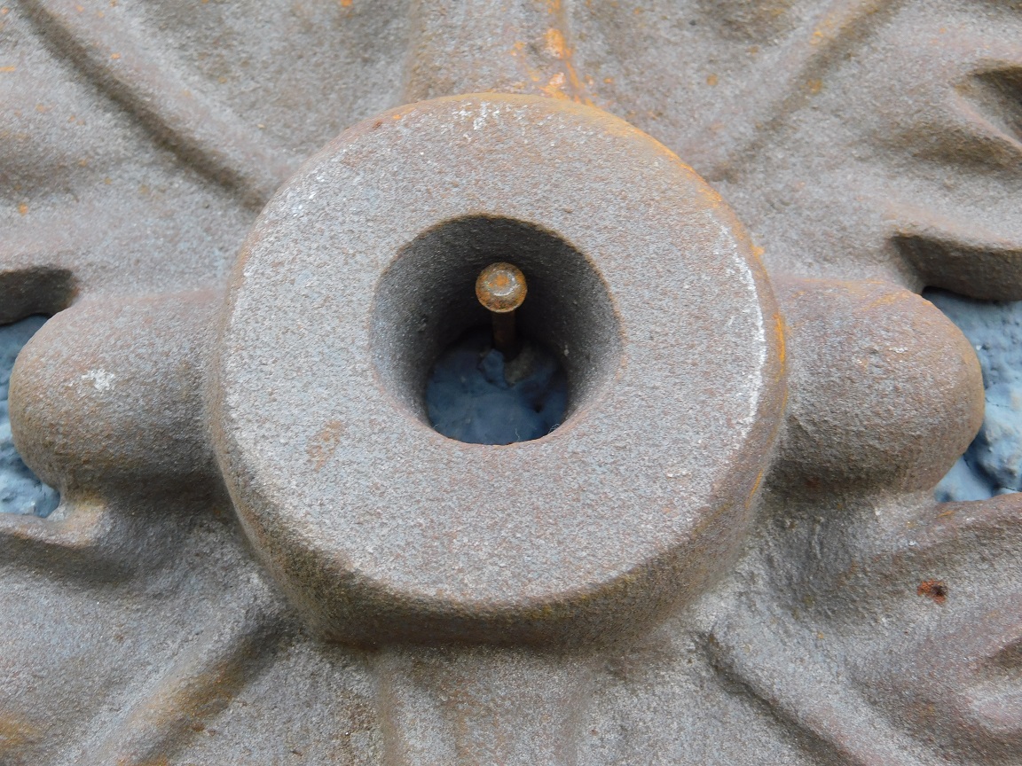 Muuranker (Eichenlaub) - houseandgarden.shop - dé webshop voor ...