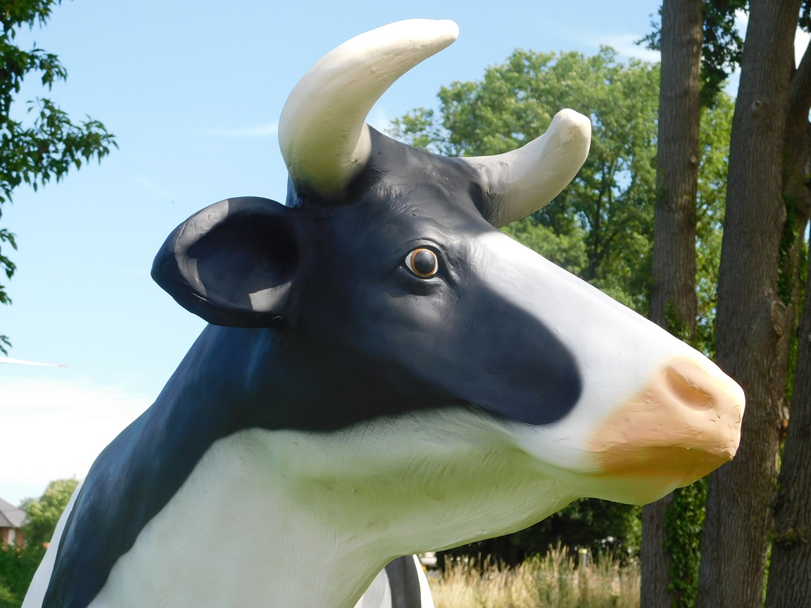 Mooie sculptuur van een koe, prachtig in kleur gezet, eye-catcher!