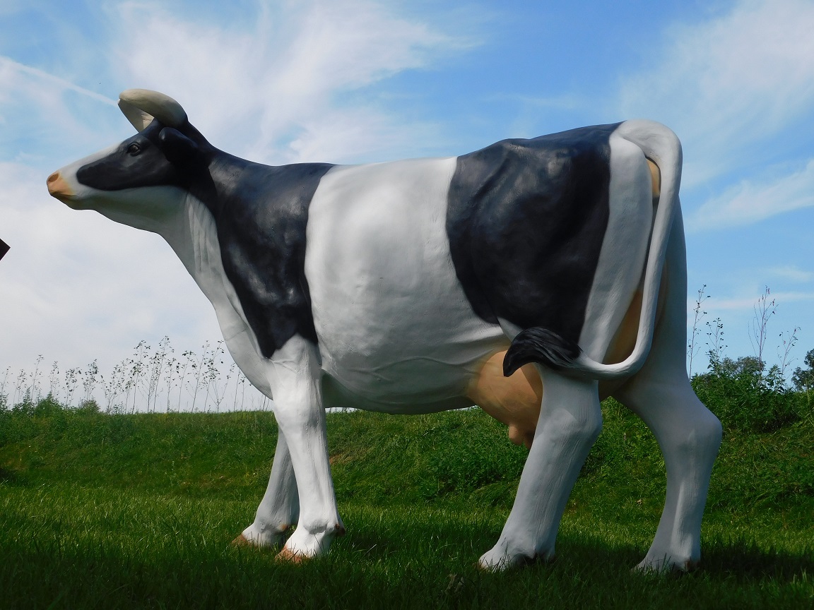 Mooie sculptuur van een koe, prachtig in kleur gezet, eye-catcher!