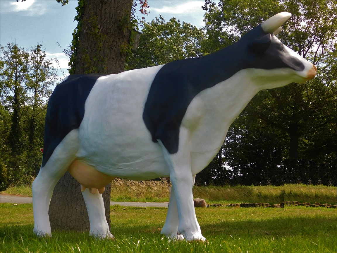 Mooie sculptuur van een koe, prachtig in kleur gezet, eye-catcher!